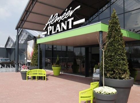 Almeer Plant