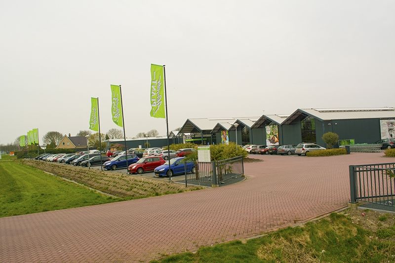 Almeer Plant