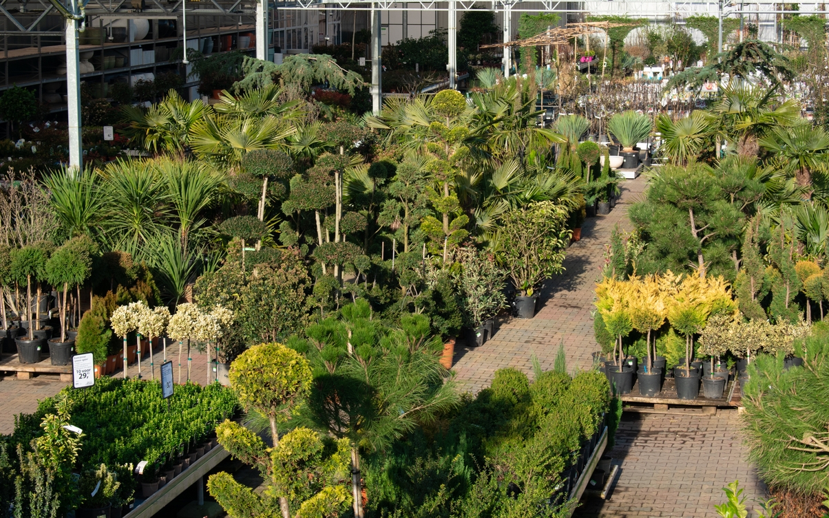 Tuinplanten - Tuincentrum Almeer Plant